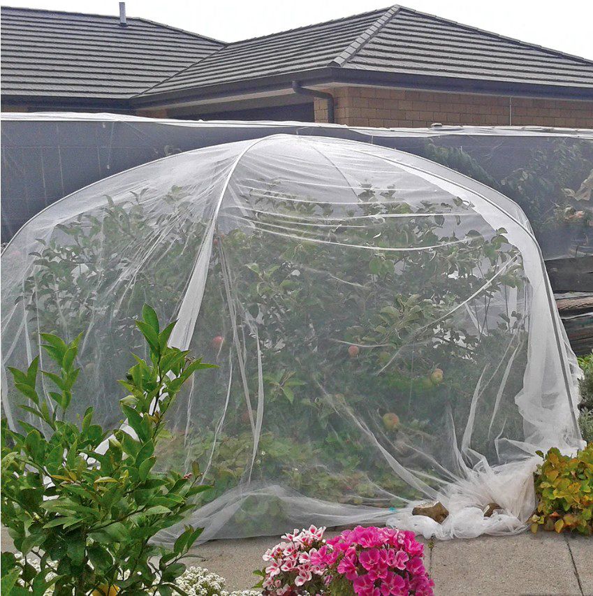 Plasă Anti Insecte GeoInsect20 Folie solar | Plasa umbrire | Mulcire ...